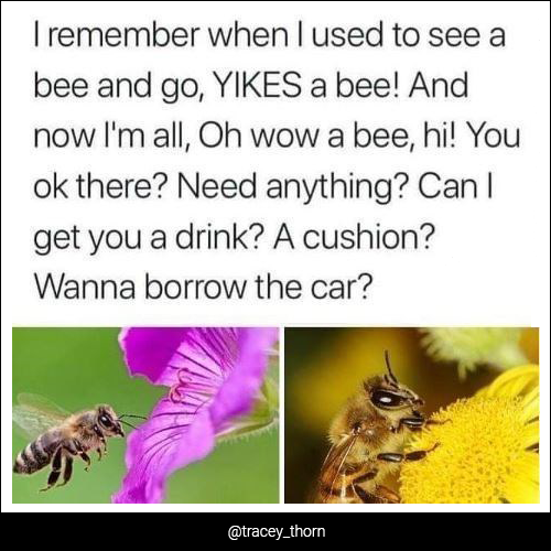 DIY Bee Hotel for World Bee Day – Cocoon UK